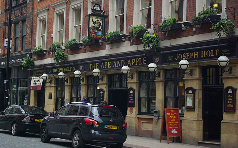 Ape & Apple - Creative Tourist