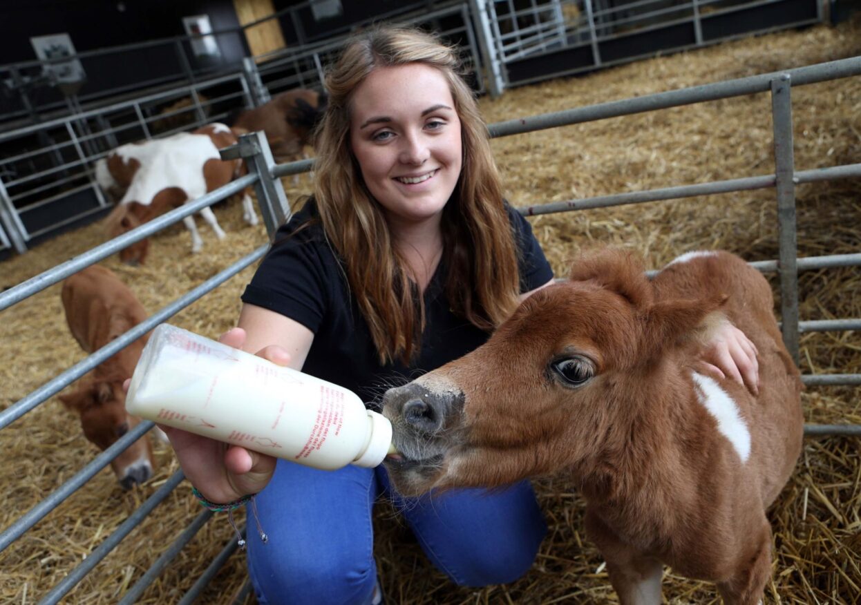 Cannon Hall Farm - Creative Tourist