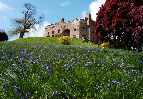 Bywell Hall | Stately Homes in the North | Creative Tourist