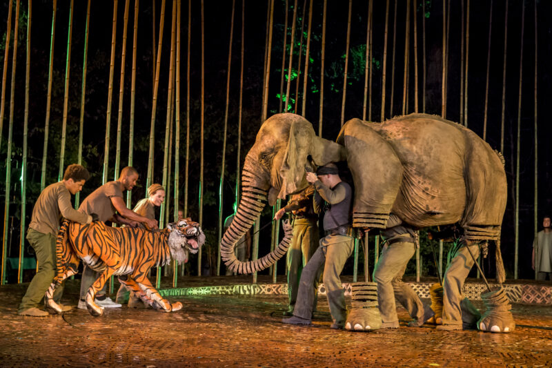 Running Wild at The Lowry - Creative Tourist