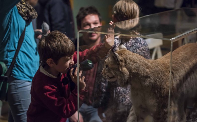 Big Saturday : Amazing Animals at Manchester Museum - Creative Tourist