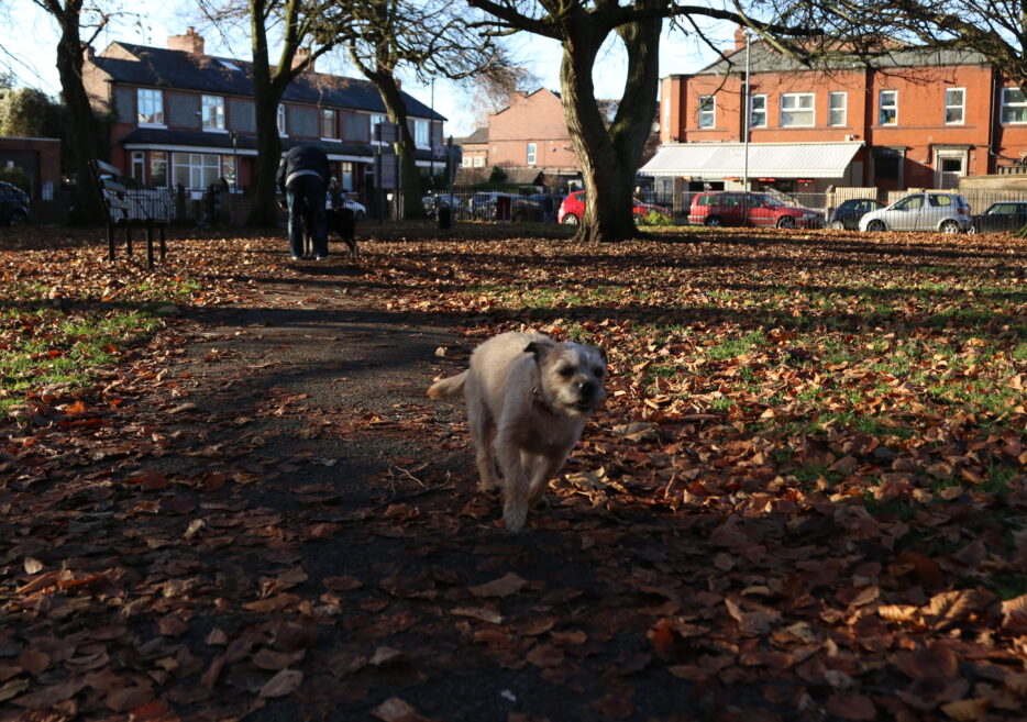 Beech Road Chorlton - The best places to shop, eat and drink