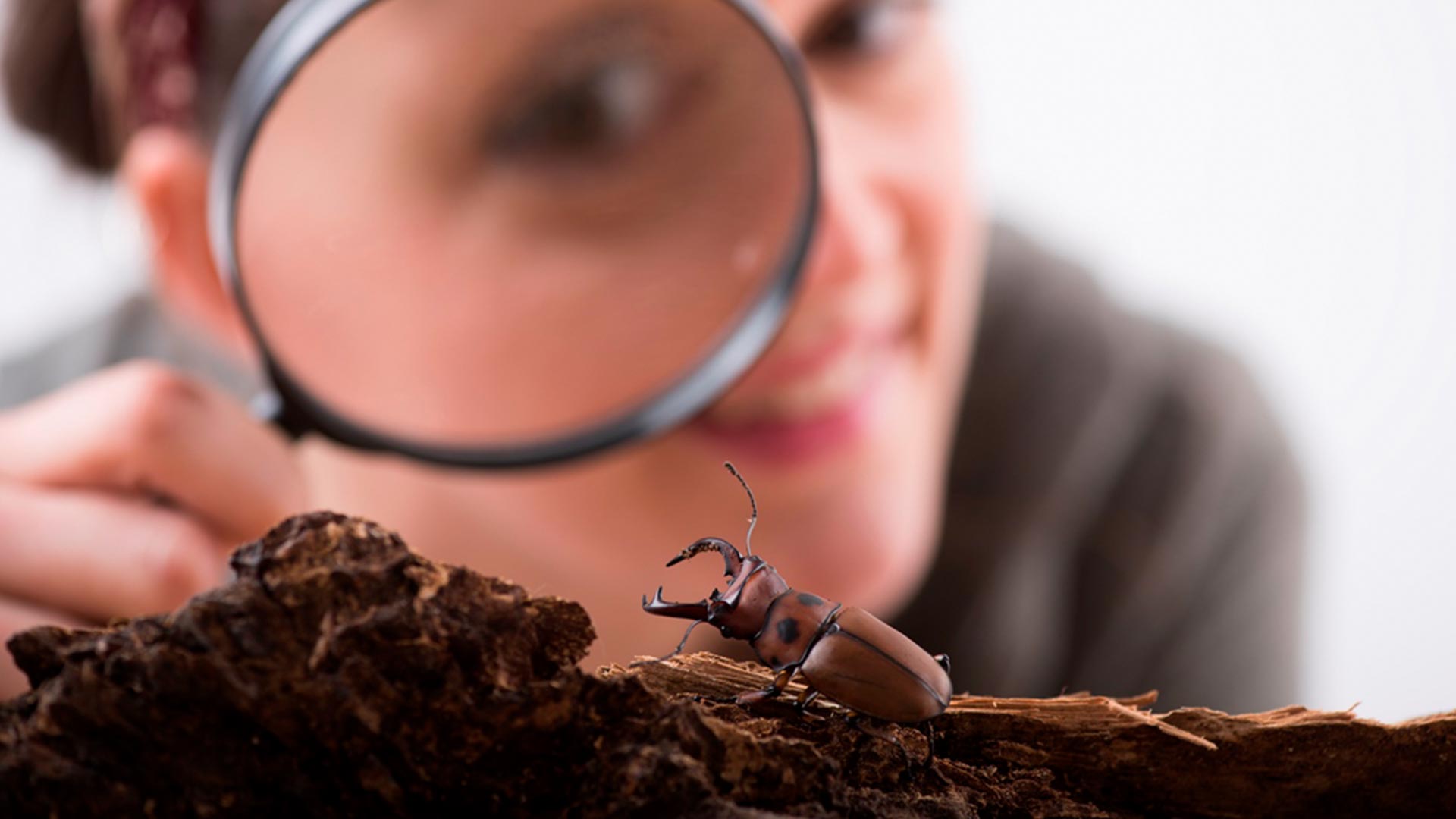 PLAY! Stories at Chester Zoo - One of our Easter Half Term Picks