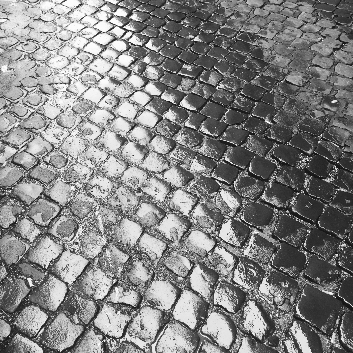 Susan Gunn: Ground Evolution at HOME - Creative Tourist