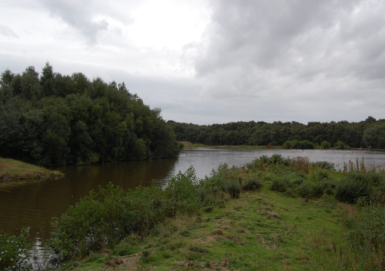 Hatchmere Nature Reserve - Creative Tourist - Wild Swimming