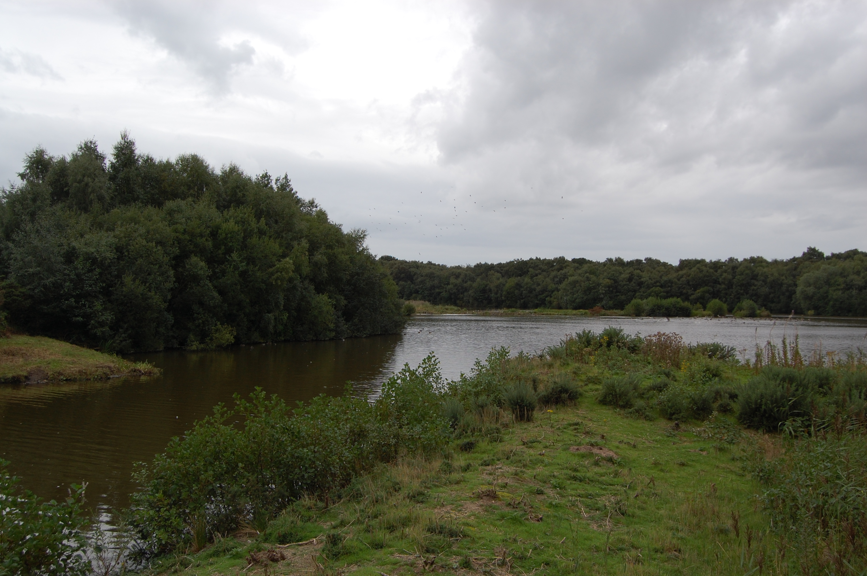 Hatchmere Nature Reserve - Creative Tourist - Wild Swimming