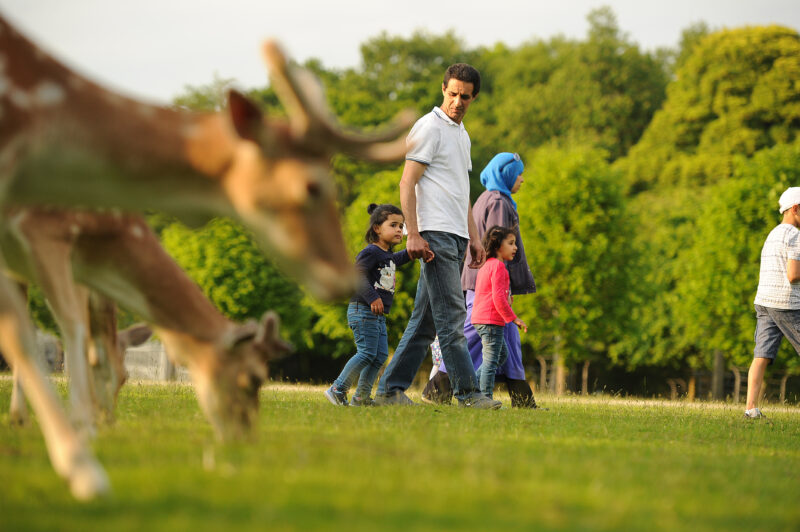 Summer at Dunham Massey - Creative Tourist