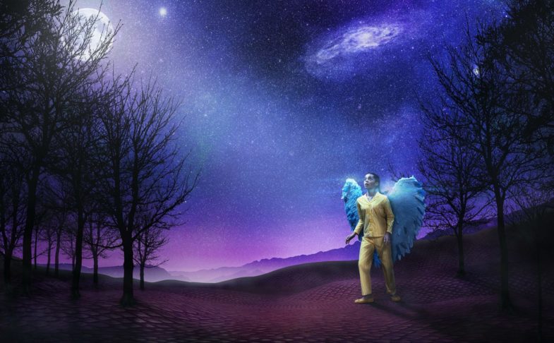 Opera North: The Magic Flute at The Lowry | Creative Tourist