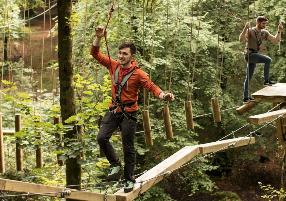 Treetop Trek | Heaton Park | Adventure Activities | Creative Tourist