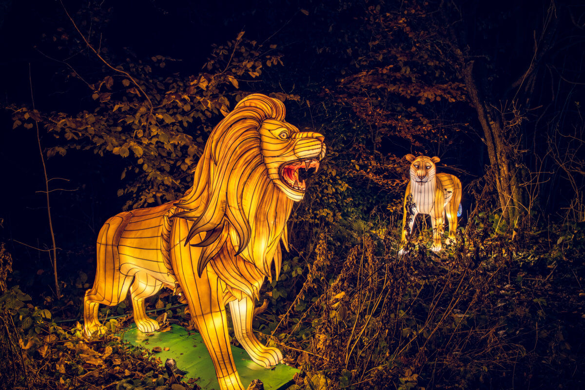 Lightopia at Heaton Park - Creative Tourist