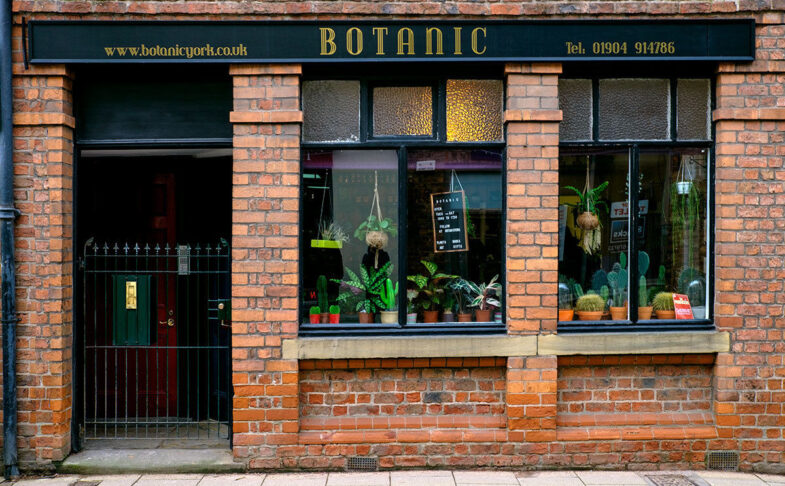 Botanic | Plant and botanical shops in York | Creative Tourist