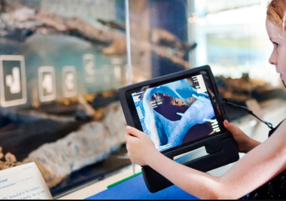 Yorkshire Museum | Museums in York | Creative Tourist