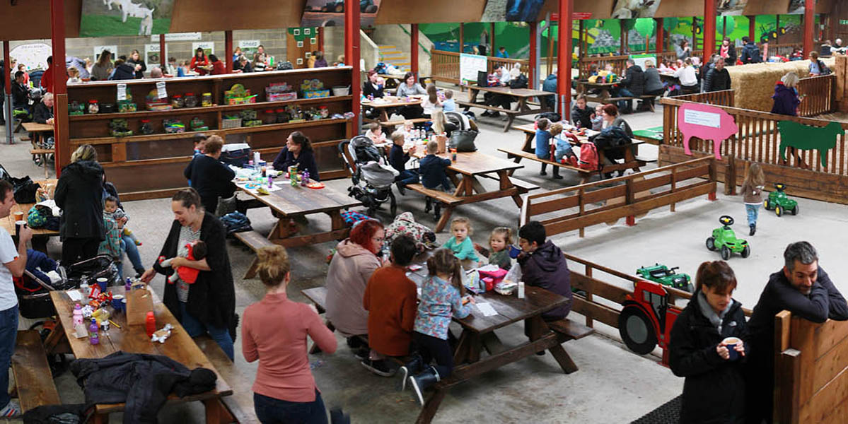 Hesketh Farm Park | Family things to do in Skipton | Creative Tourist