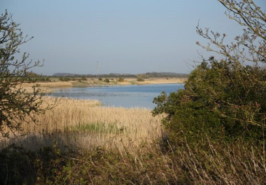 Marton Mere Local Nature Reserve - Creative Tourist