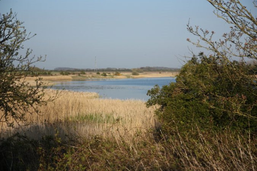 Marton Mere Local Nature Reserve - Creative Tourist