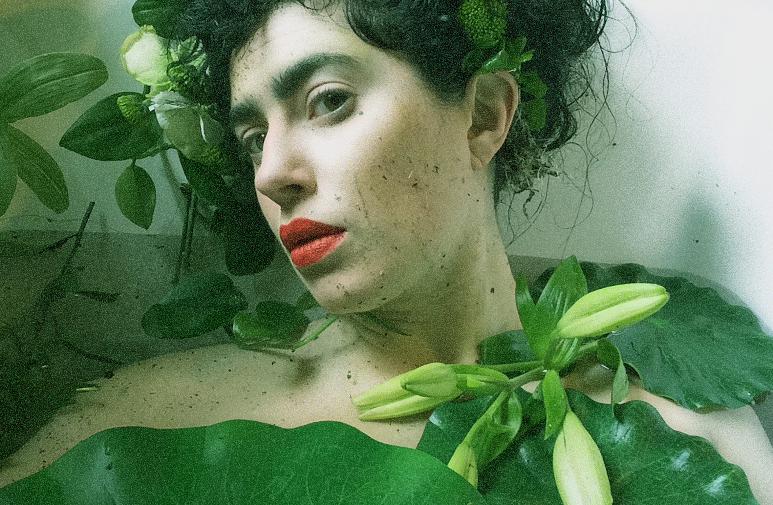 Bridget Fitzpatrick's Instagram, Twitter & Facebook on IDCrawl