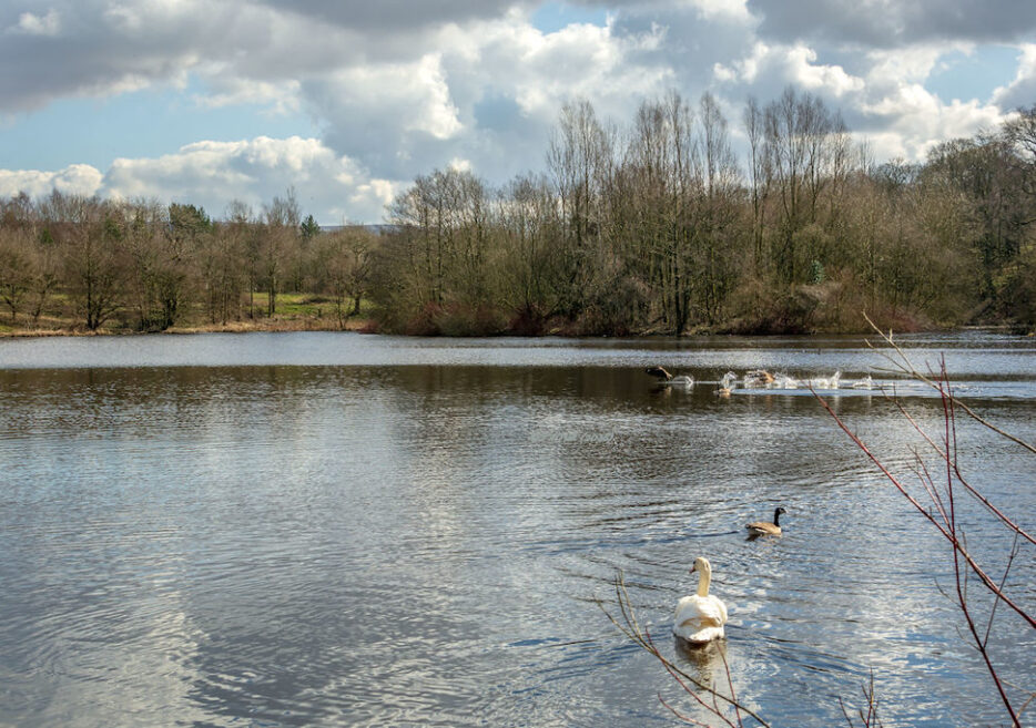 Things to do in Burnley | Burnley Guide | Creative Tourist