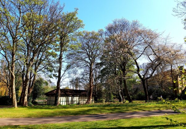 Matt Rugg: Connecting Form at Hatton | Art in Newcastle | Creative Tourist