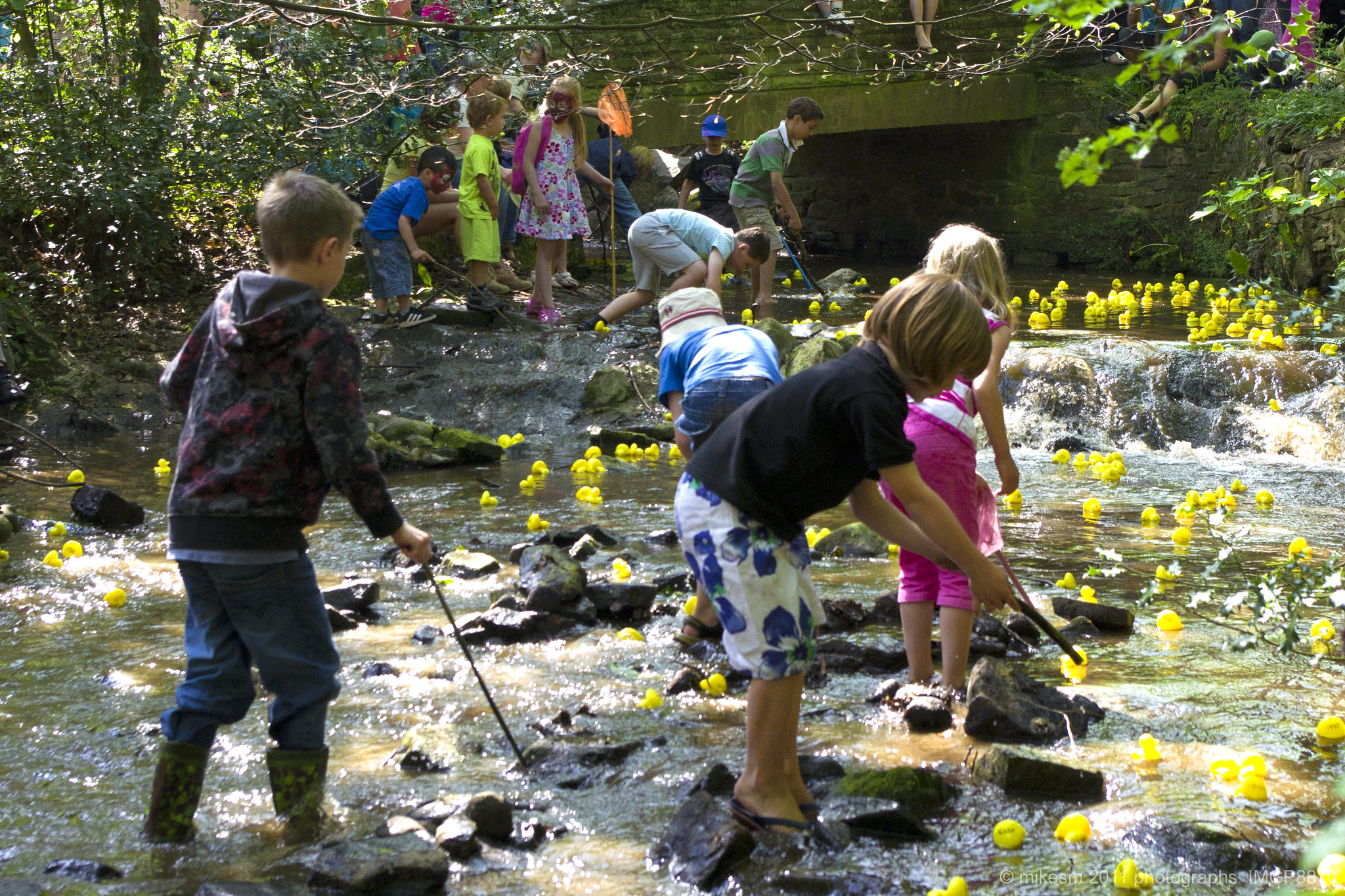 Endcliffe Park - Attractions in Sheffield - Creative Tourist