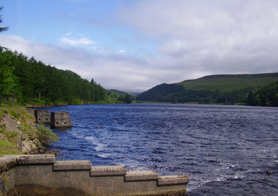 Derwent Reservoir | Wild Swimming | Creative Tourist