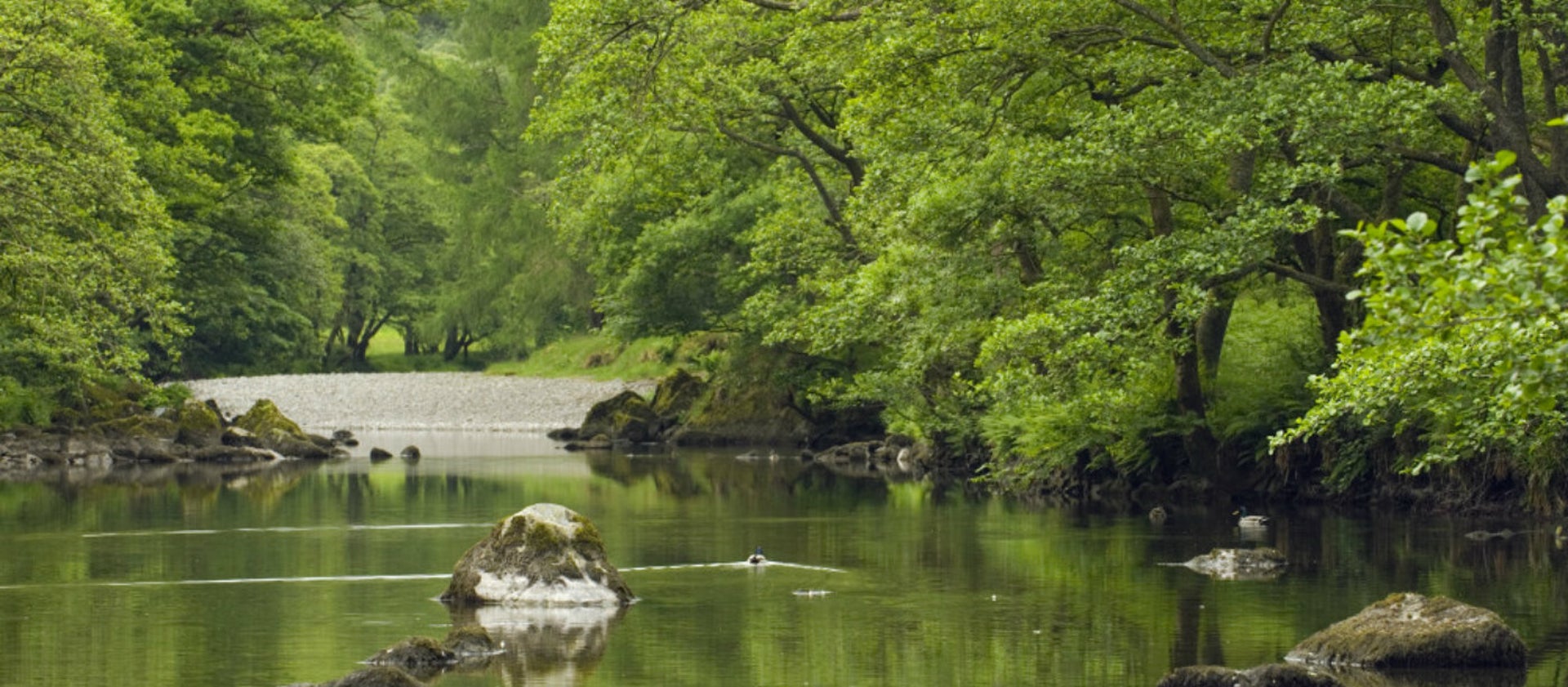 Slippery Stones, Derwent Valley | Peak District | Creative Tourist