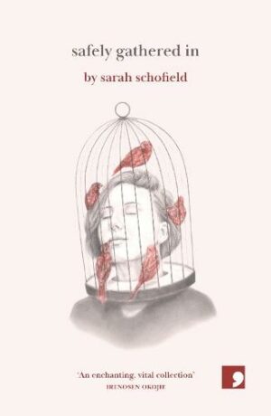 Sarah Schofield book launch at Ormskirk Library | Literature Events in ...