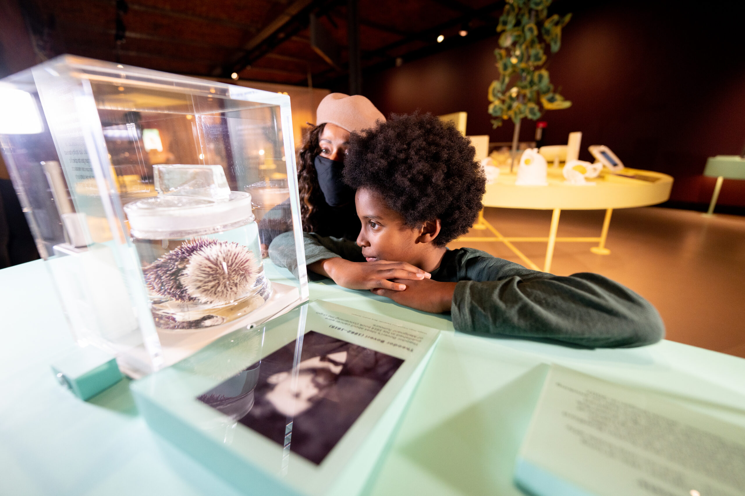 Cancer Revolution at SIM | Exhibitions | Creative Tourist