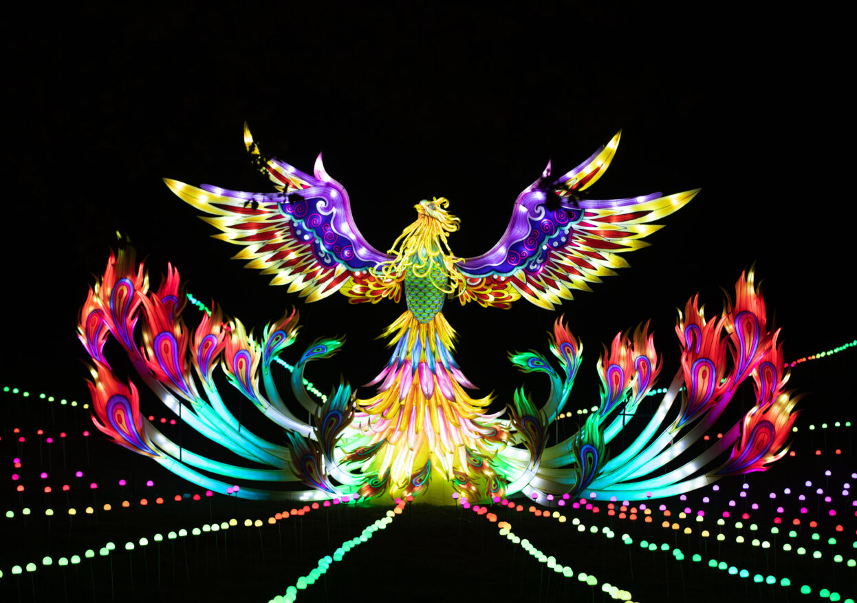 Lightopia | Light Festivals in the North | Creative Tourist