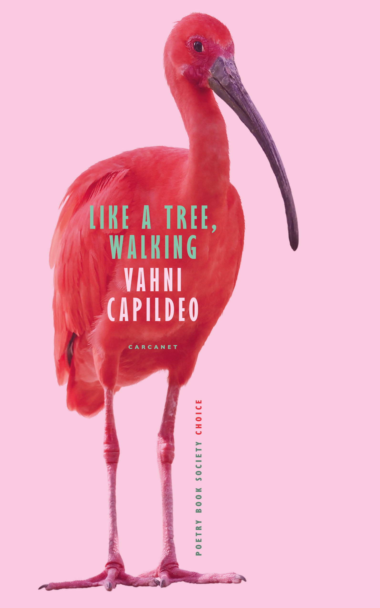 Carcanet online book launch: Like a Tree, Walking by Vahni Capildeo ...
