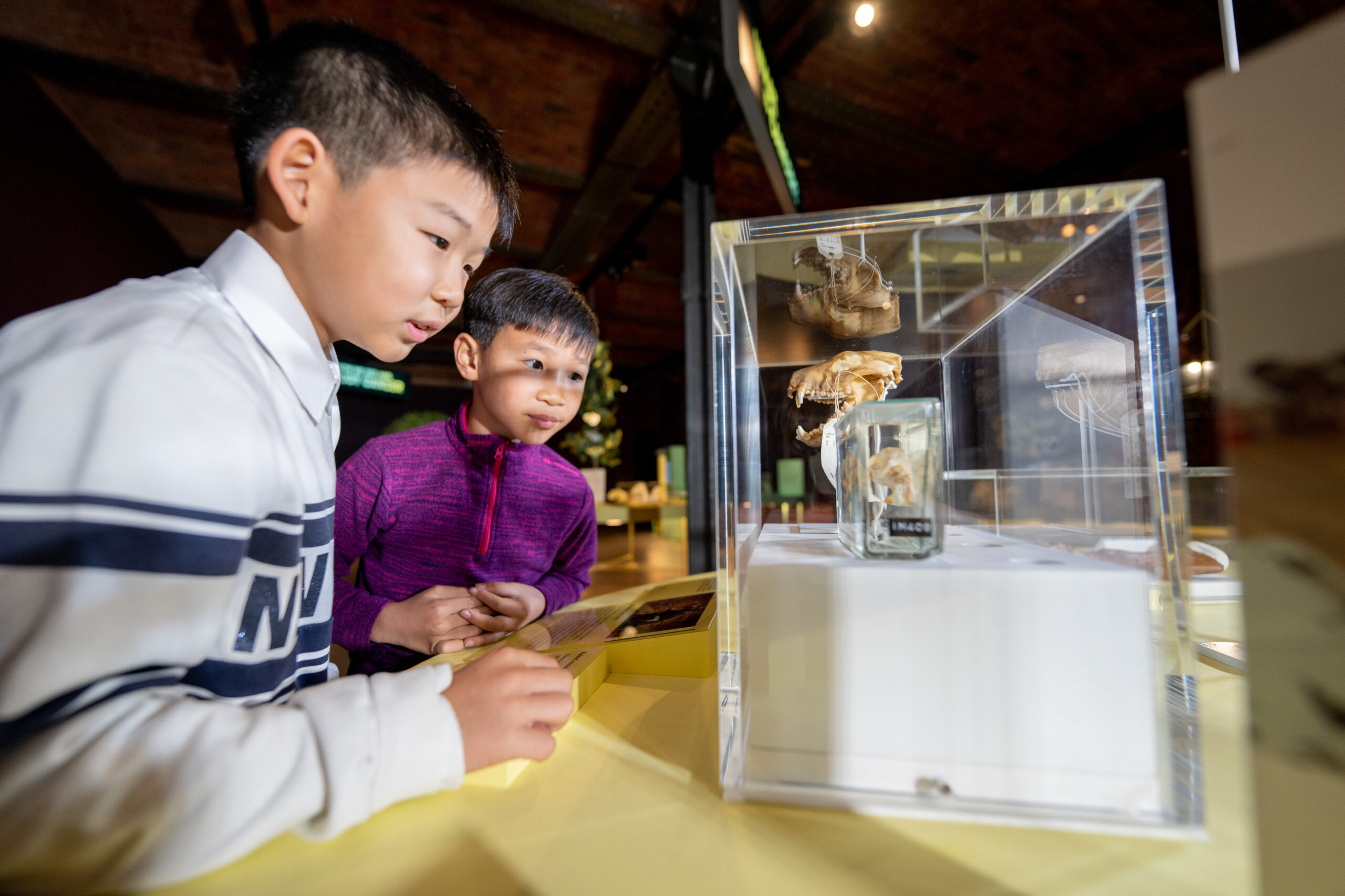 February Half Term Fun at Science and Industry Museum | Creative Tourist
