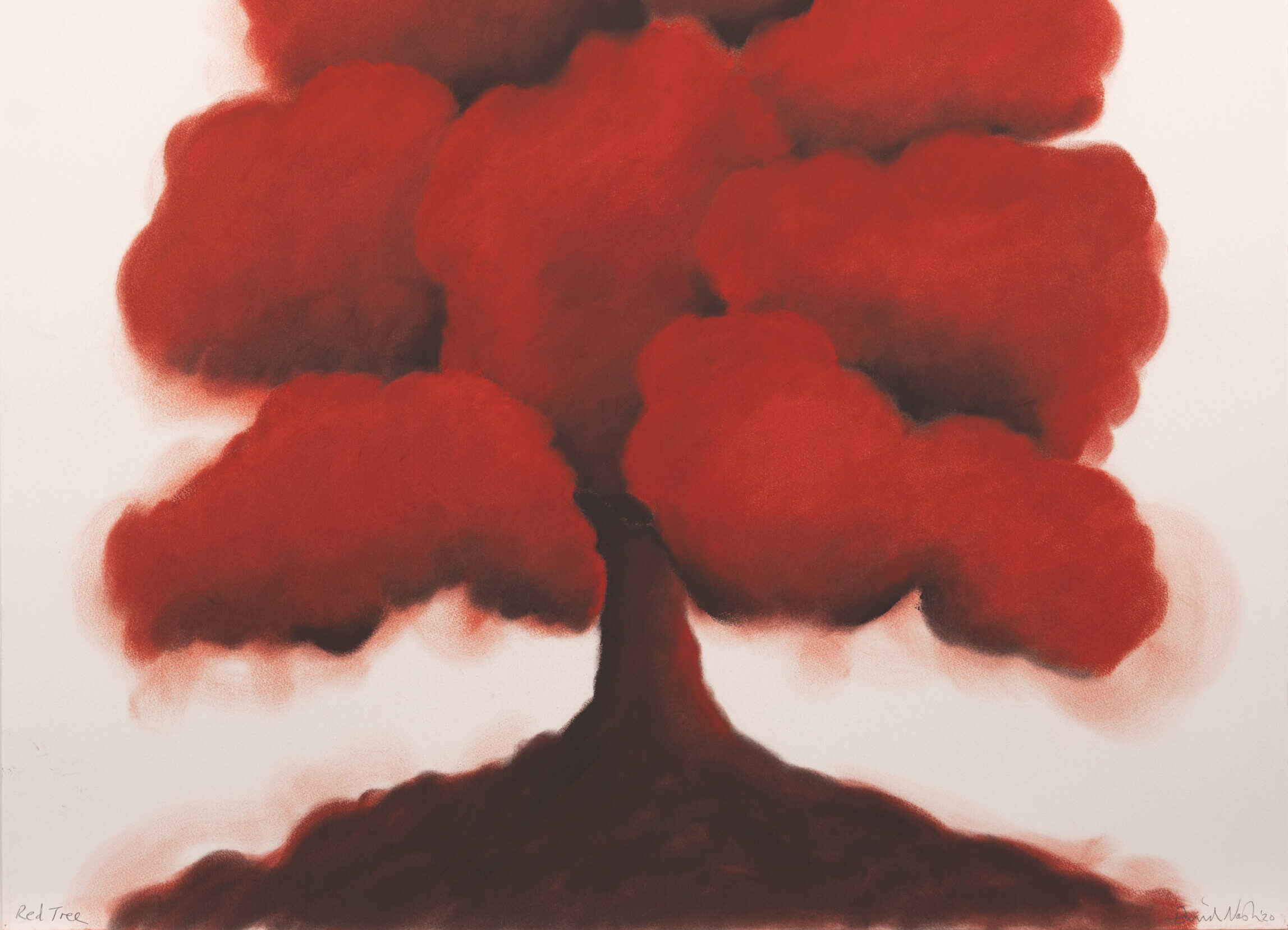 David Nash: Full Circle at YSP | Exhibitions | Creative Tourist