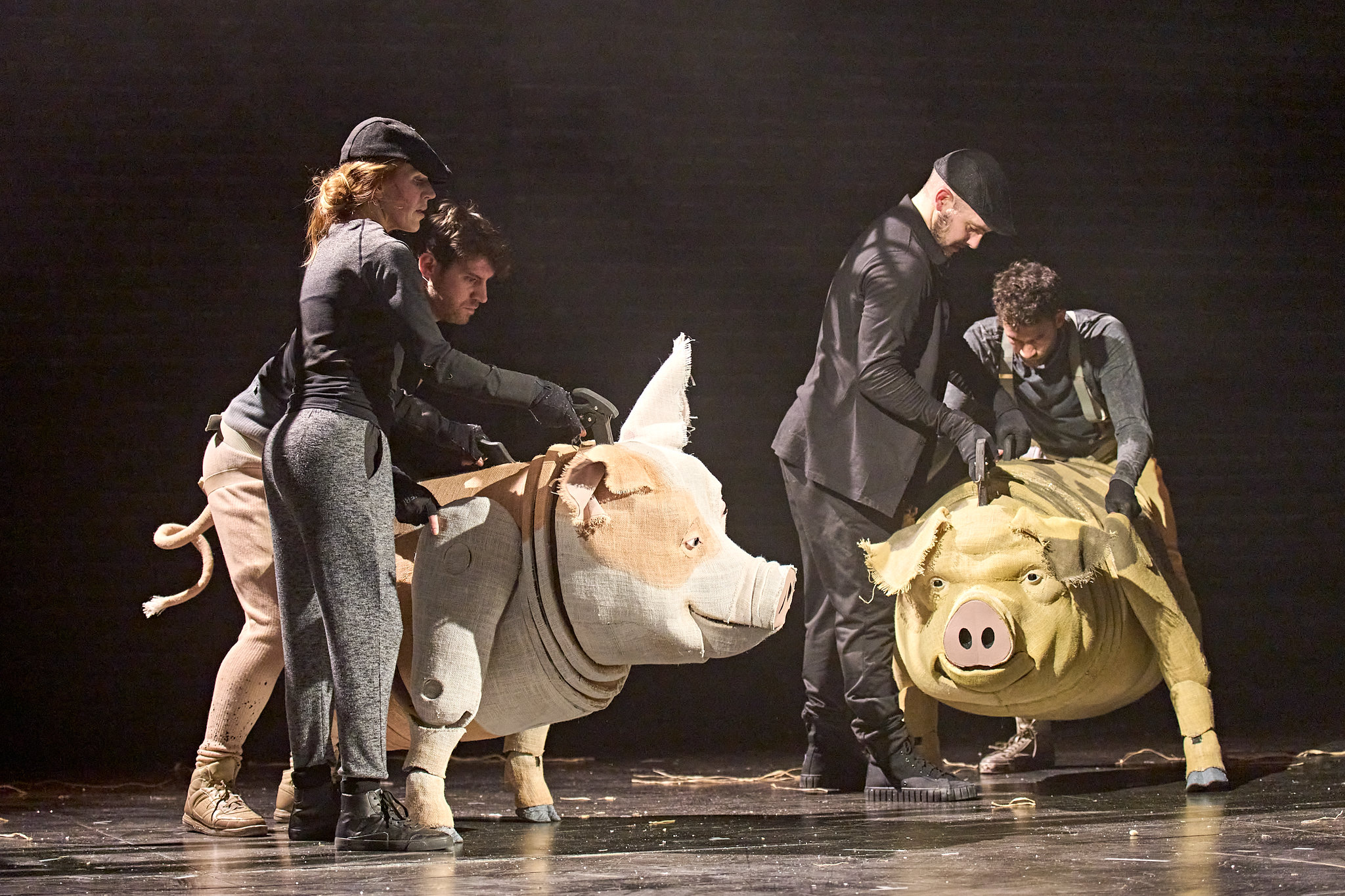 Animal Farm at The Lowry | Theatre Top Picks | Creative Tourist