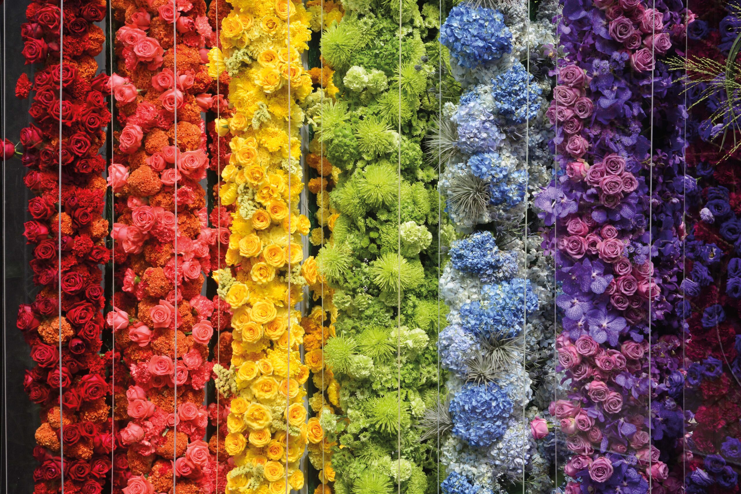 Pride in Nature at RHS Garden Bridgewater | Salford | Creative Tourist