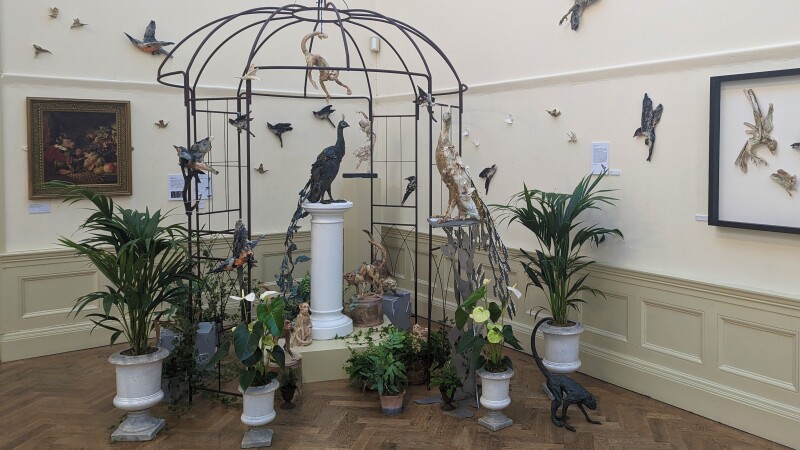 Emma Rodgers: Wunderkammer | Exhibitions | Creative Tourist