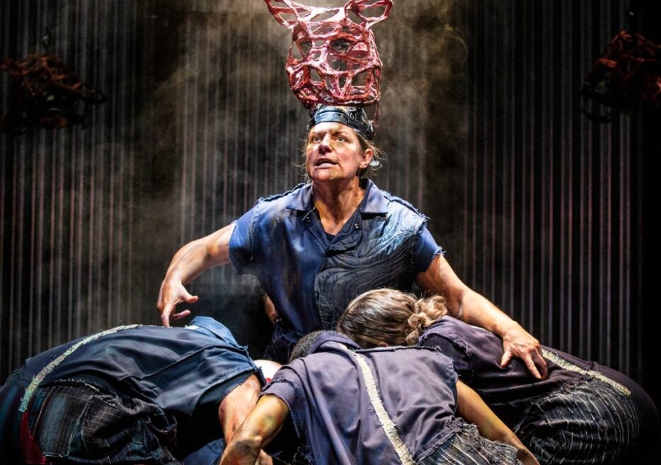 Animal Farm at the Octagon Theatre | Theatre | Creative Tourist