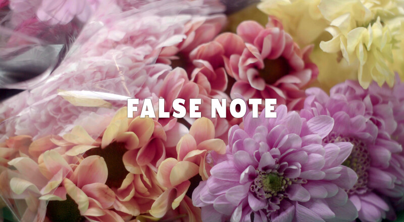 False Note at Site Gallery | Exhibitions | Creative Tourist