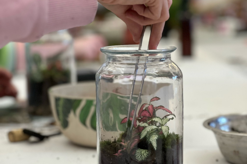Build Your Own Terrarium Workshop at Harewood House - Creative Tourist