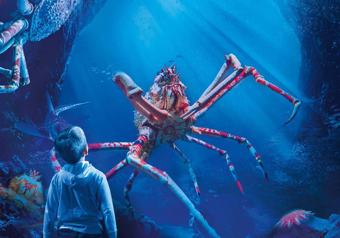 SEA LIFE Manchester | Attractions in Manchester | Creative Tourist