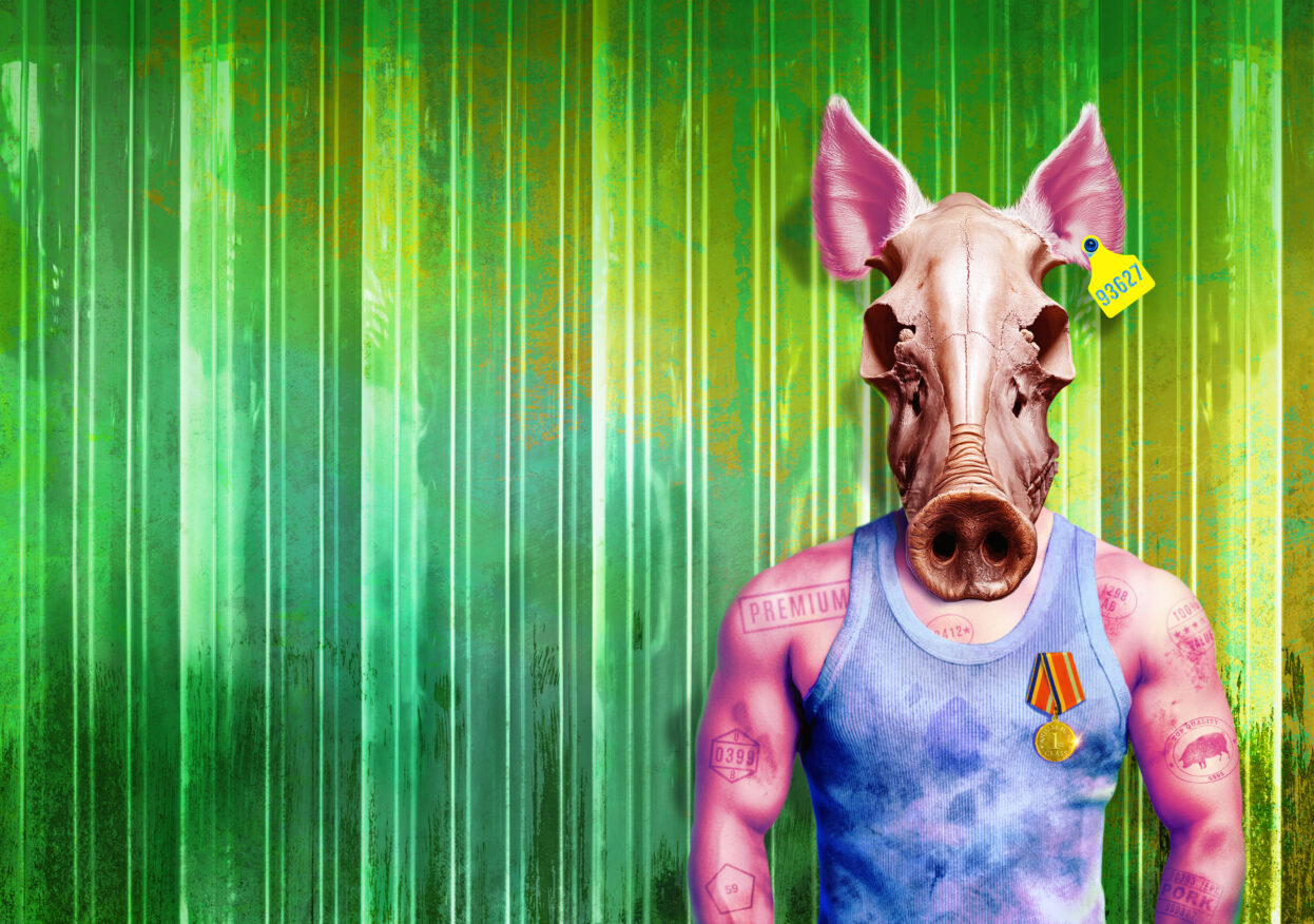 Animal Farm at Leeds Playhouse | Theatre | Creative Tourist
