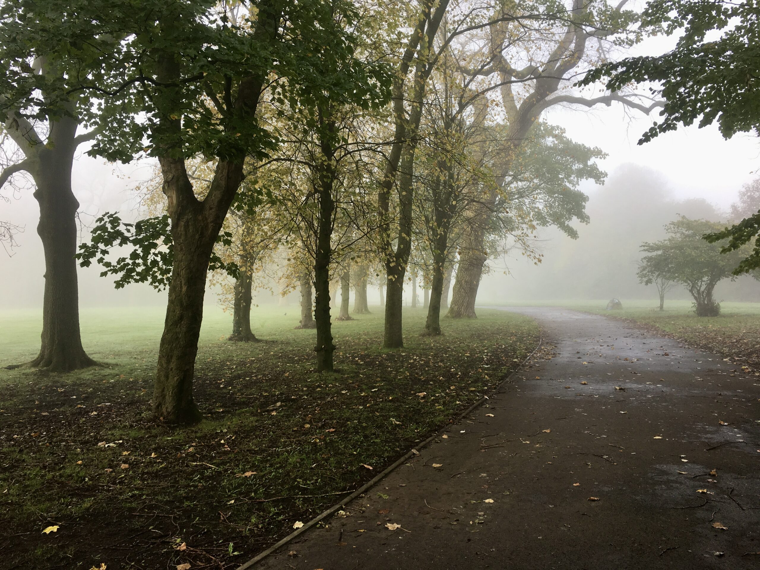 Alexandra Park and Whalley Range | Jonathan Schofield Tours