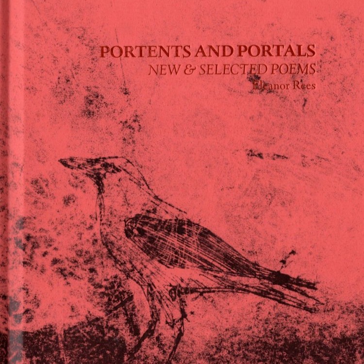 Eleanor Rees at Open Eye Gallery Liverpool | Literature | Creative Tourist