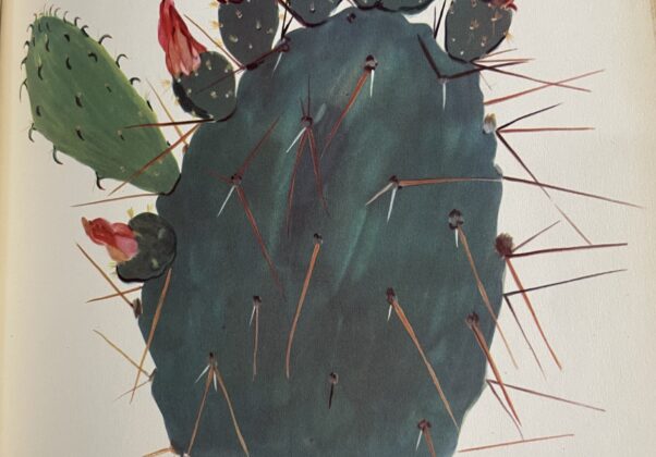 Chapeltown Library at The Reginald Centre | Creative Tourist