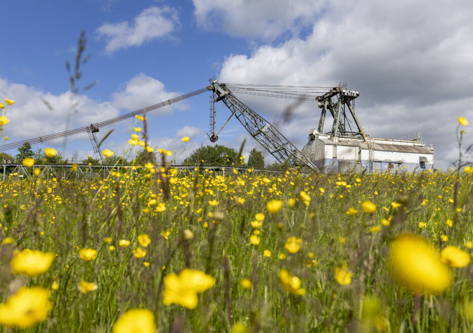 History Walk at RSPB St Aidan's - Creative Tourist