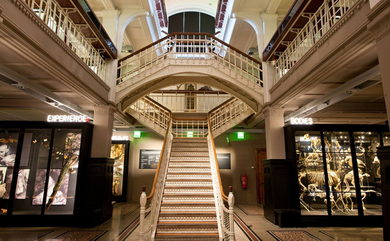 Tours at Manchester Museum | Vivarium Gallery Tours