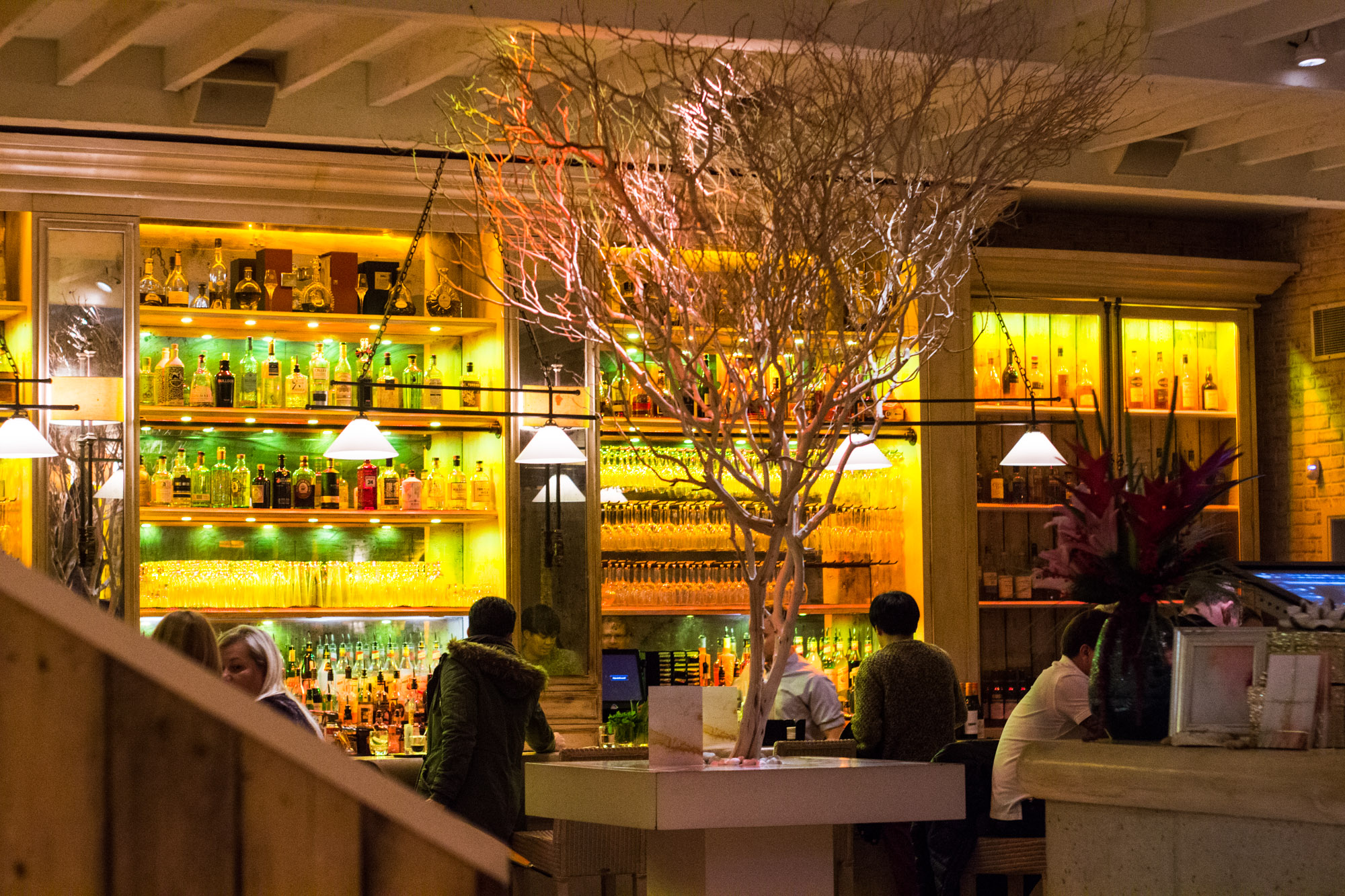 Australasia | Restaurants in Spinningfields | Creative Tourist