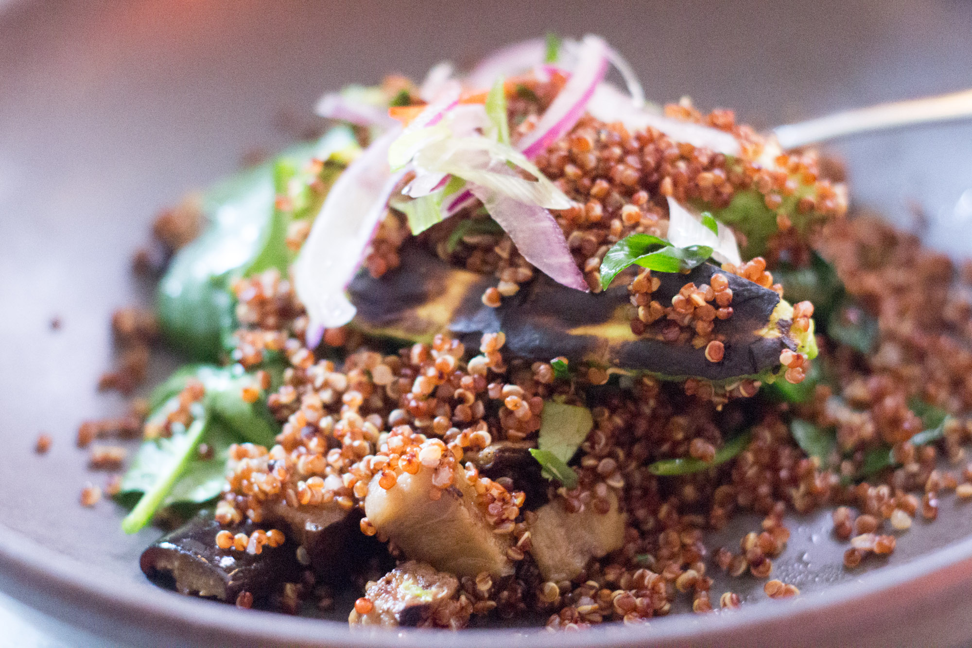 Peru Perdu | South American food in Manchester | Creative Tourist